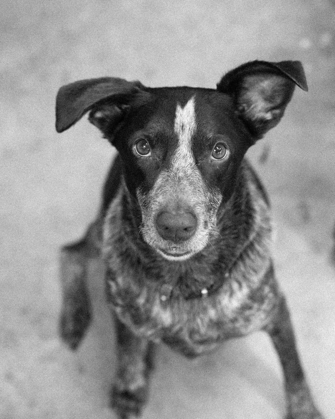 About – Framework Designs